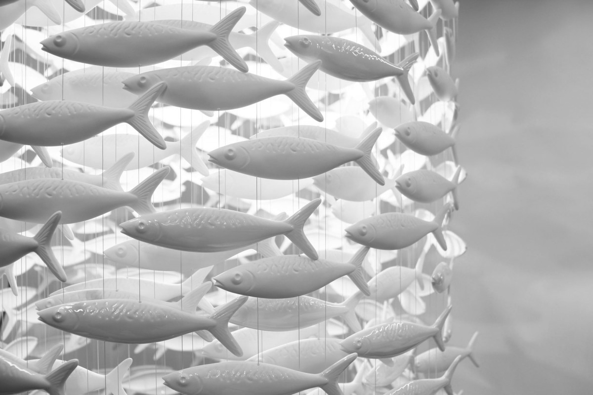 Shoal by Scabetti. The iconic ceramic fish chandelier, created from ...