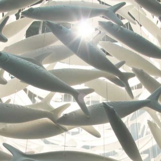 Scabetti Collection: including Shoal, the original fish chandelier ...